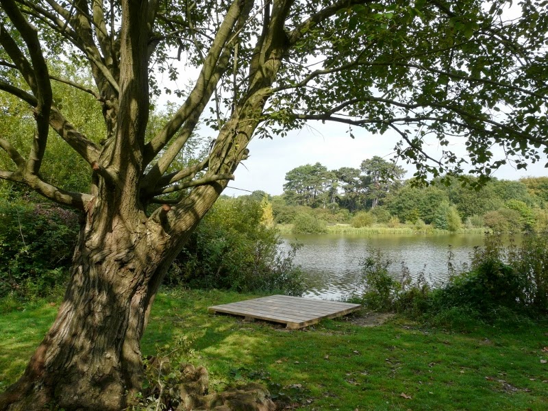 Cindy's Snaps: Hatfield Forest (stomping ground of my Hatfield Broad ...