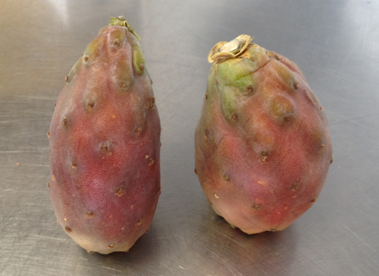 Franklin Inn Mexican Restaurant: What the Heck is a Cactus Pear?