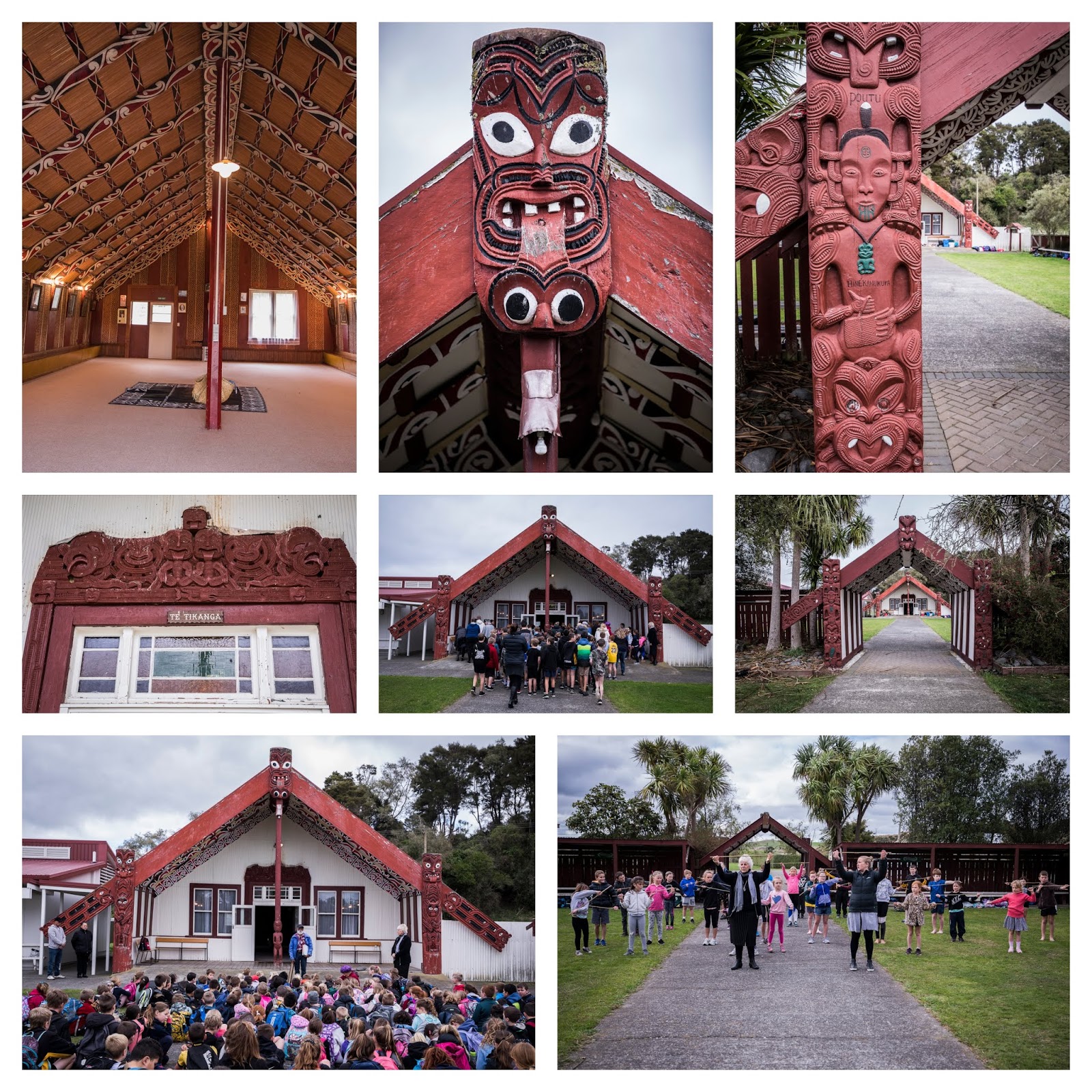 Room 6 Halcombe School 2019: Te Tikanga ( Tokorangi) Marae Visit