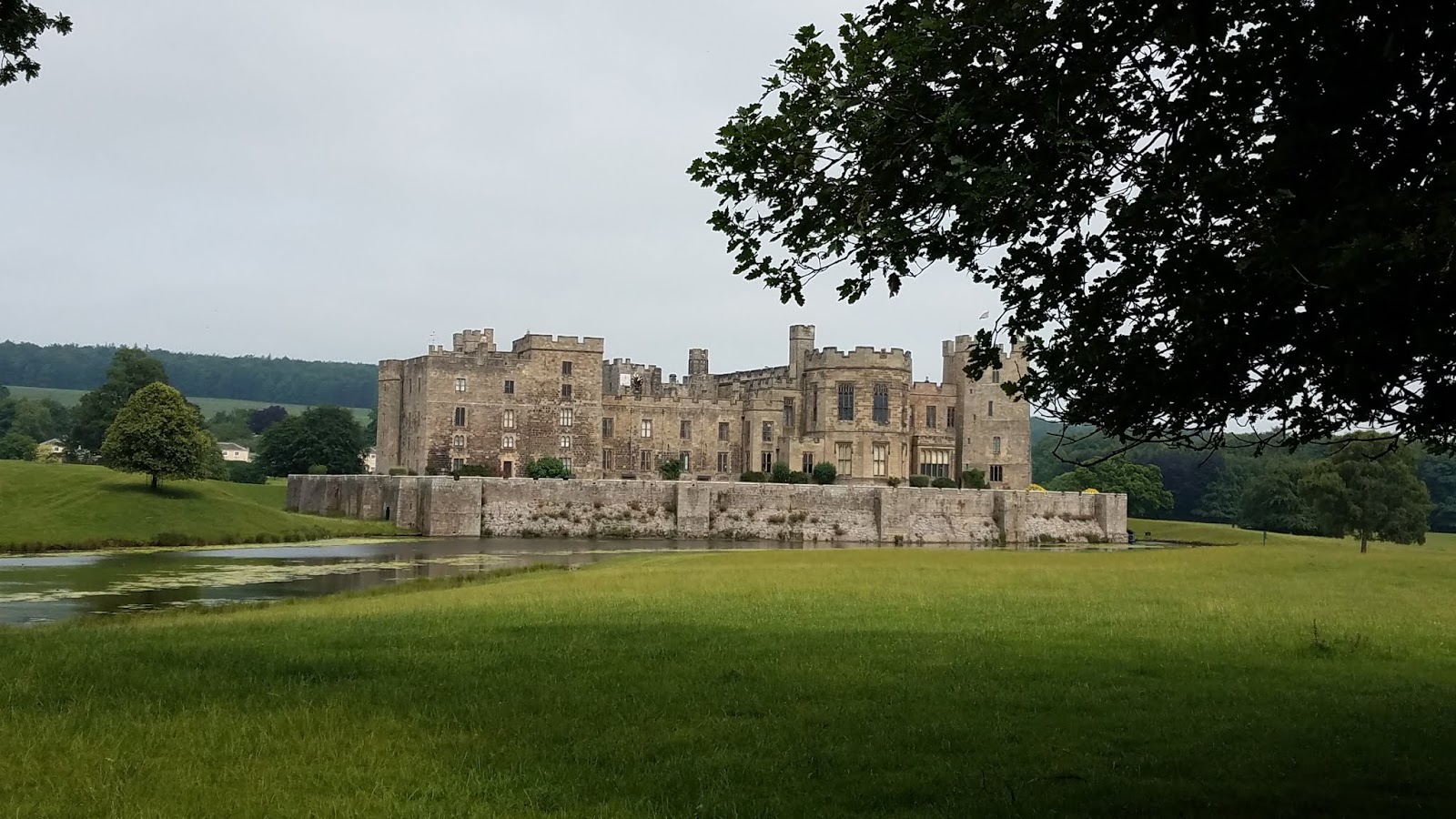 Letting Go of the Bay Leaf: Garden Glory: (Showing Off a "Small Island ...