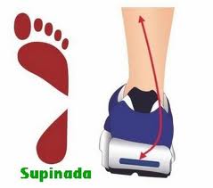 Fisioterapia - Denise Pripas: Pé pronado e supinado: saiba mais sobre a ...