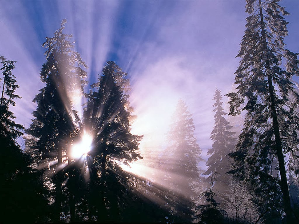 Miguel Bruno Duarte: Leonardo da Vinci, ele próprio