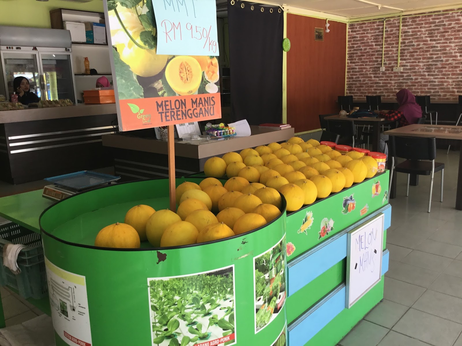 Green Dish: Melon Manis Terengganu (MMT) Malaysia