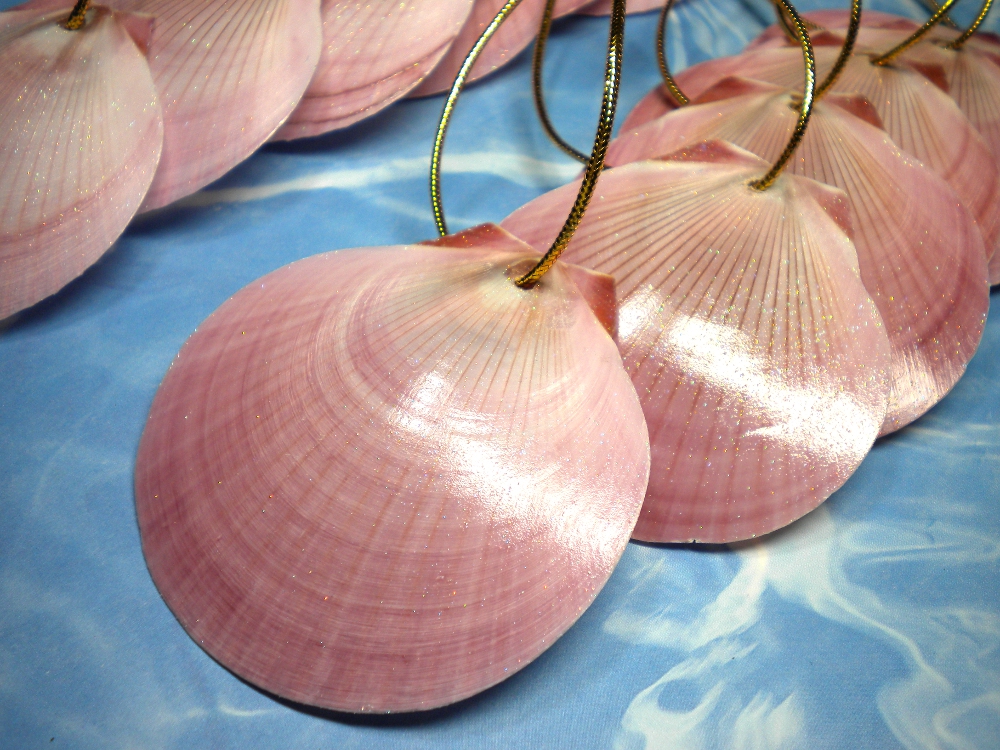 Del's Shells: Seashell Christmas Ornaments