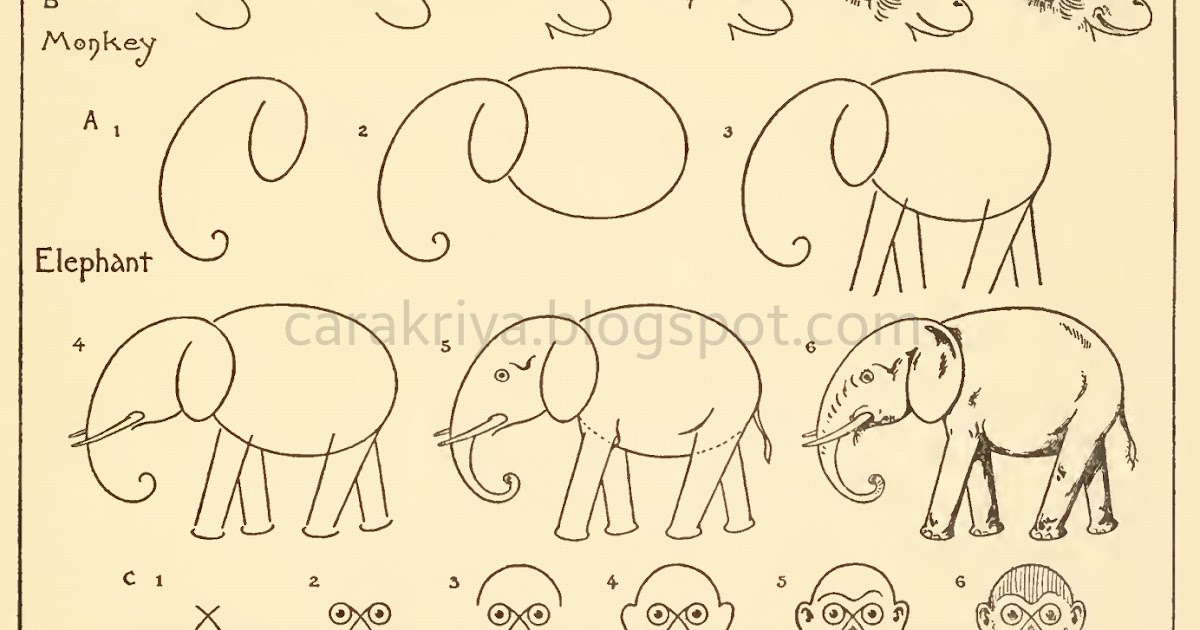 Top Ide 20+ Cara Melukis Gajah Dengan Mudah