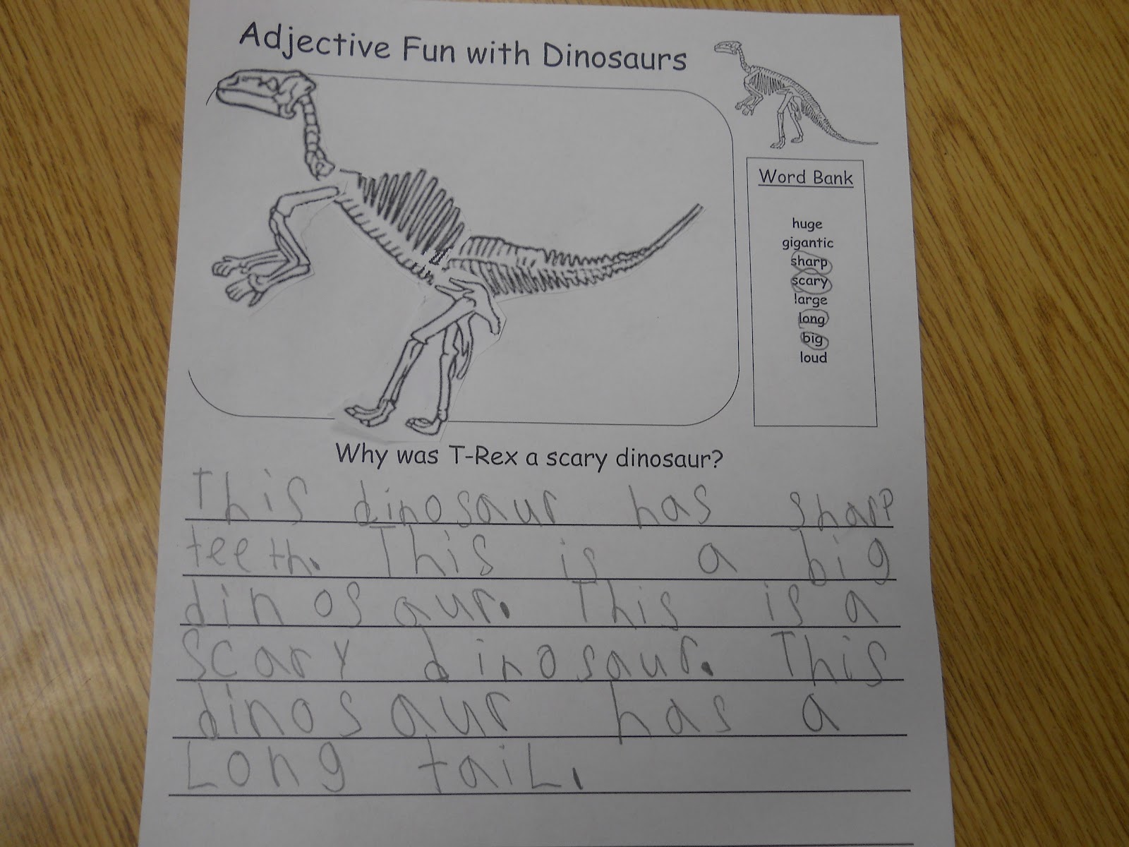 Blog Hoppin': Paleontology anyone? Free Mister Bones Activity Pack