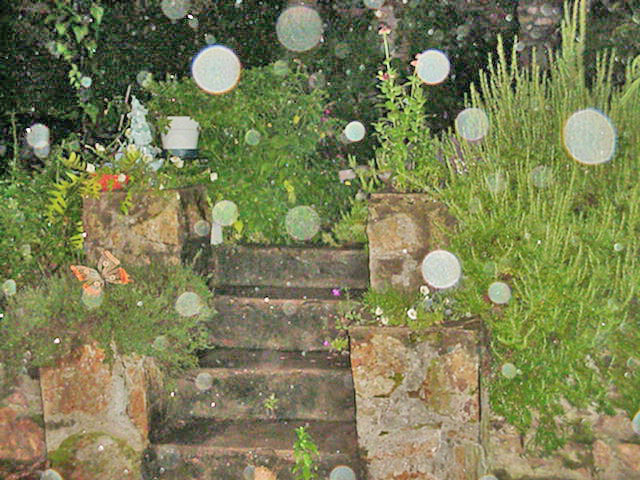 Superinteressante -- Blog Super Interessante: Orbs - Superinteressante