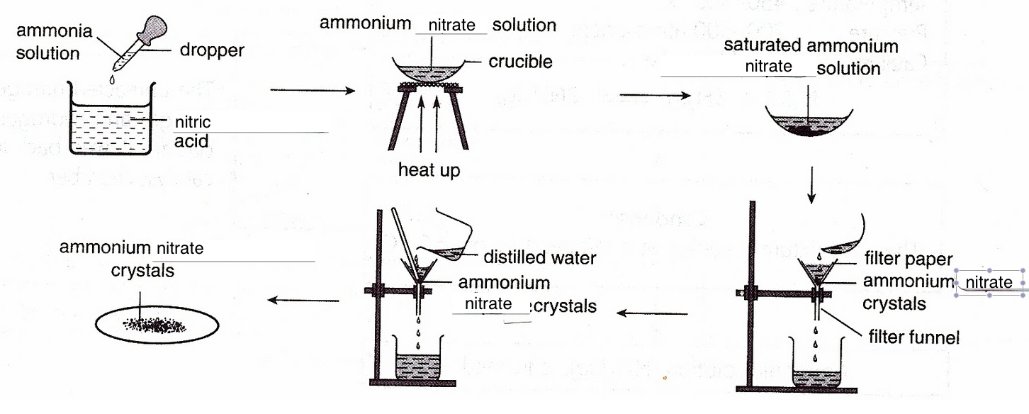 Chemistry Assignment: Ammonia