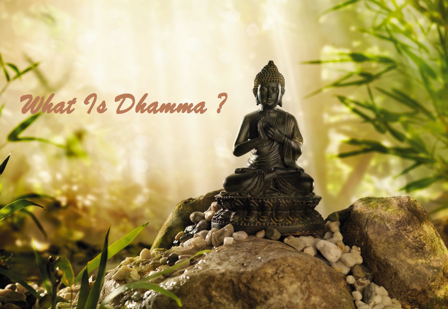 Buddha Quotes Online: Buddha's Teaching : What is Dhamma ( Part- II )