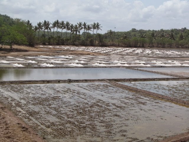 Shiroda Mithagar | Konkankatta.in