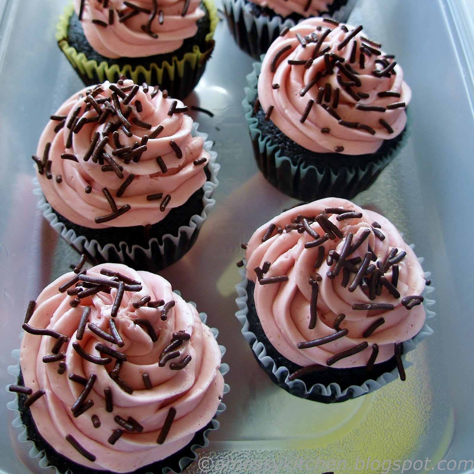 Throwback Thursday Chocolate Cupcakes