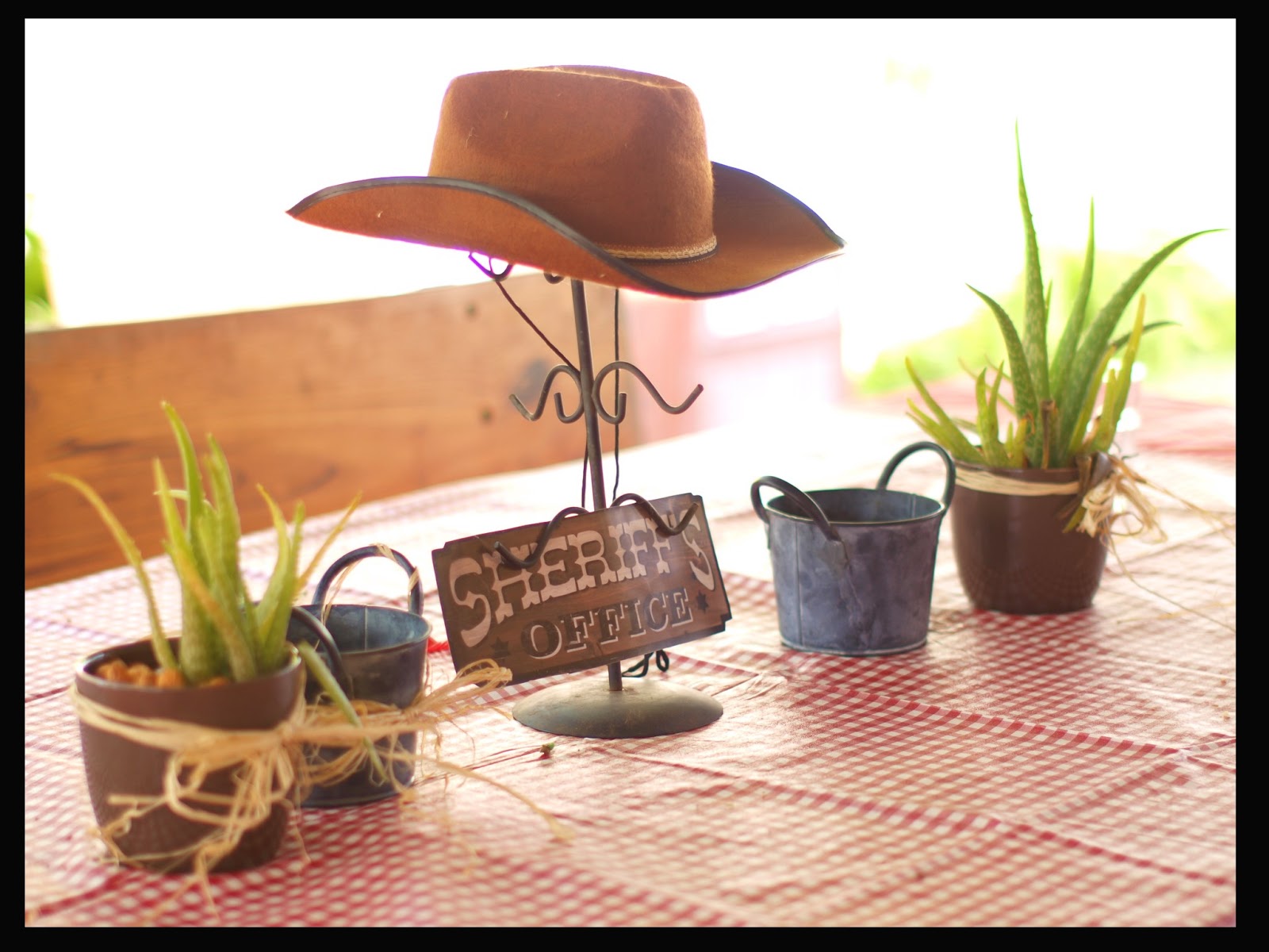 Forever Busy Mum: Wild West Cowboy Party