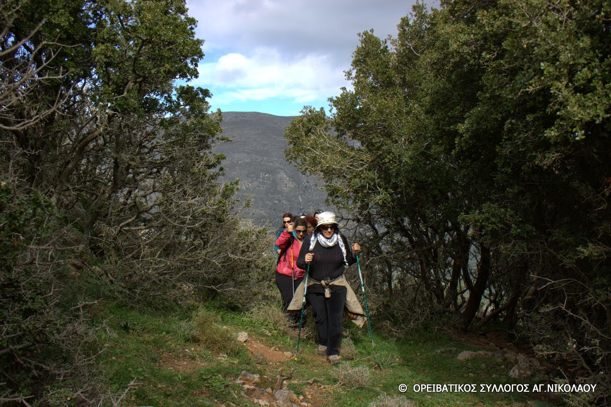 EXPLORE MOUNTAINS: ΜΟΝΟΠΑΤΙ Ε4 ΔΑΦΝΗ-ΠΕΥΚΟΙ ΣΤΗΝ ΣΗΤΕΙΑ