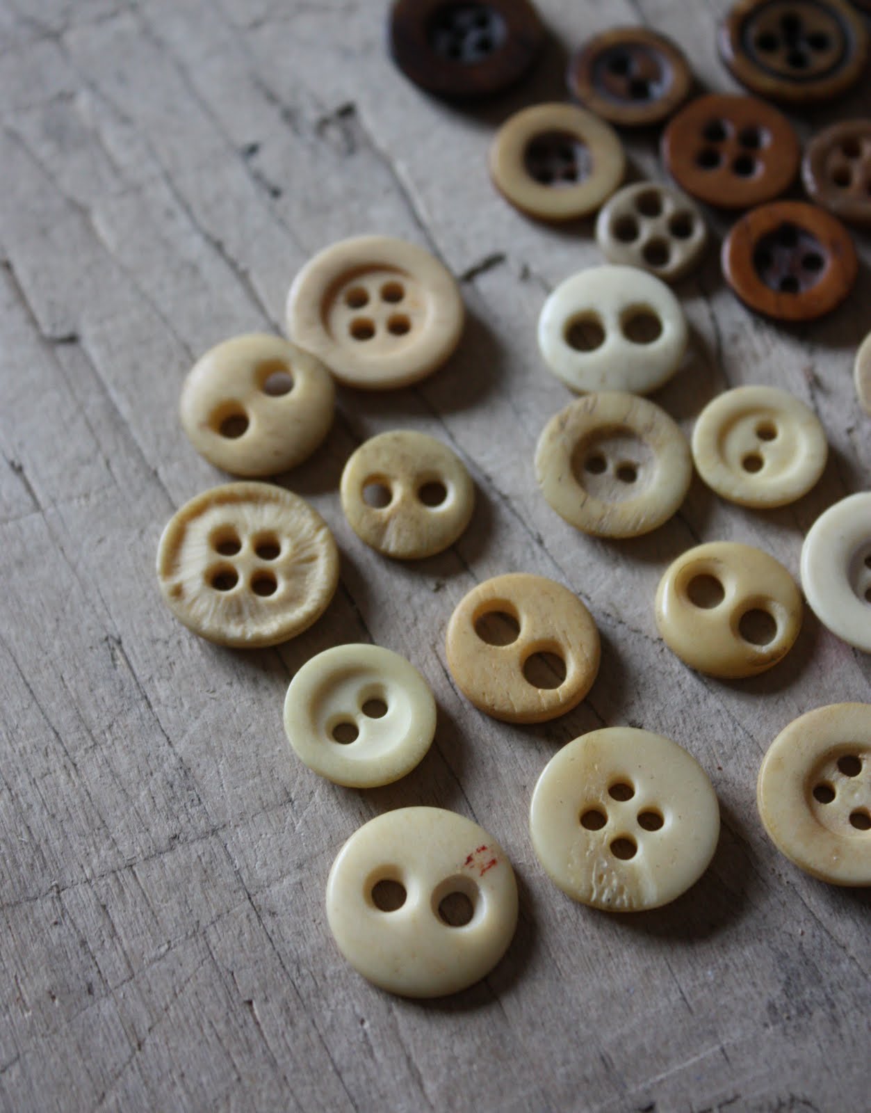 lil fish studios: Bone Button Monday