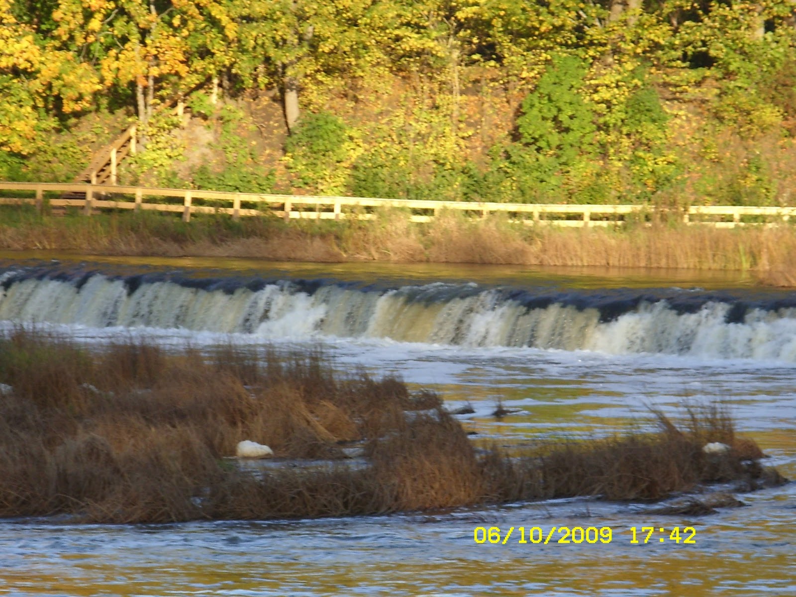 Viesturs Pirro: Dzeja