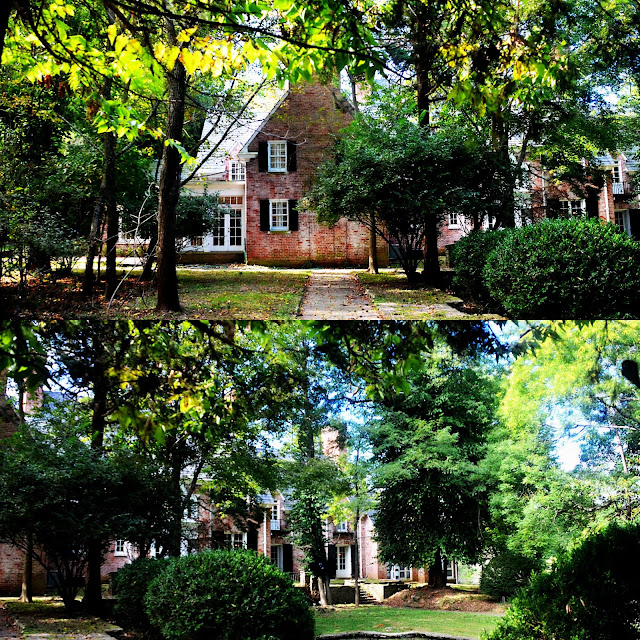 Red-shouldered Hawks of Tingsgrove and Beyond: The Rosewell Mansion ...