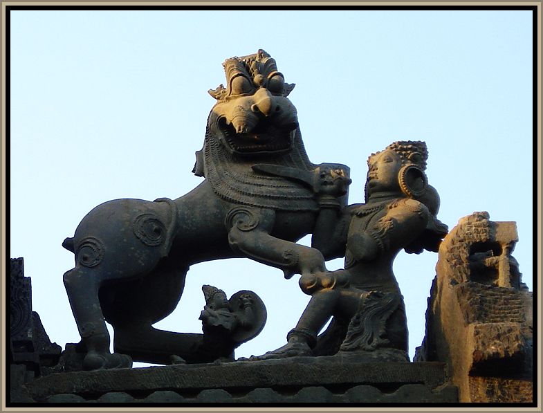 The Voice of Greenery - Trekking and Travelling in Western Ghats ...