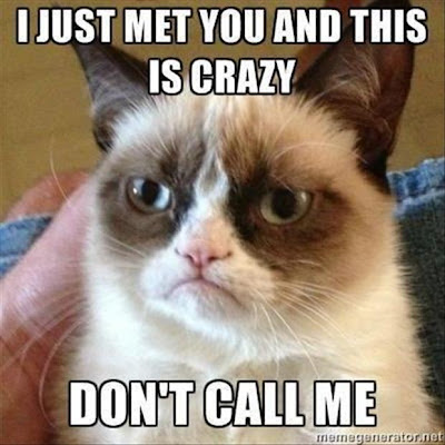 Crazy, Lazy, Silly and Strange: Grumpy cat...