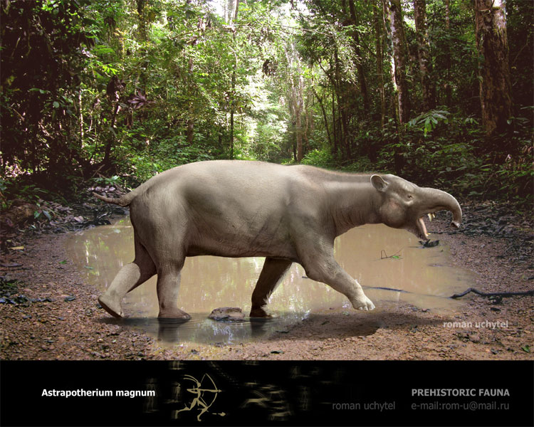 Palaeos, la historia de la Vida en la Tierra: septiembre 2011