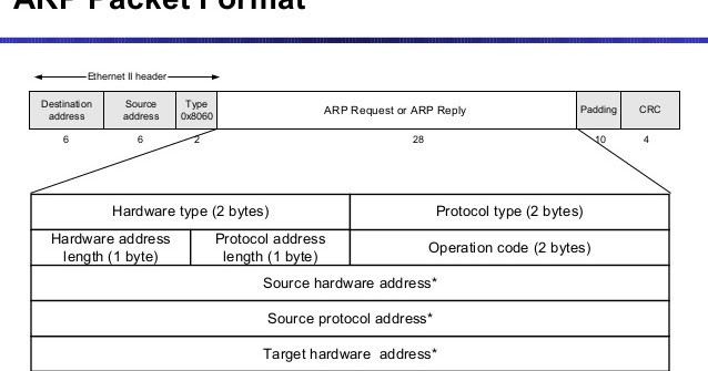 Protocol & OSI model: ARP