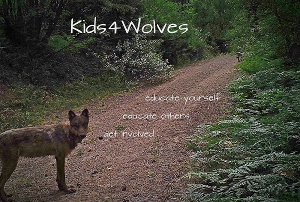 Kids4Wolves: "Frozen" - Disney's Portrayal of Wolves