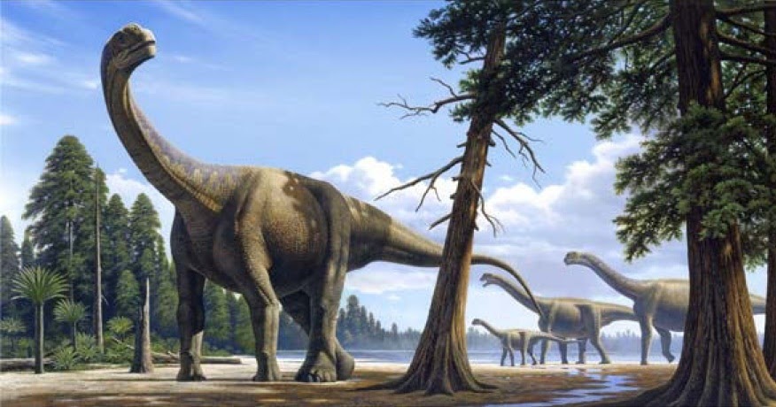 Mundo Pré-Histórico: Camarassauro, o lagarto com câmaras