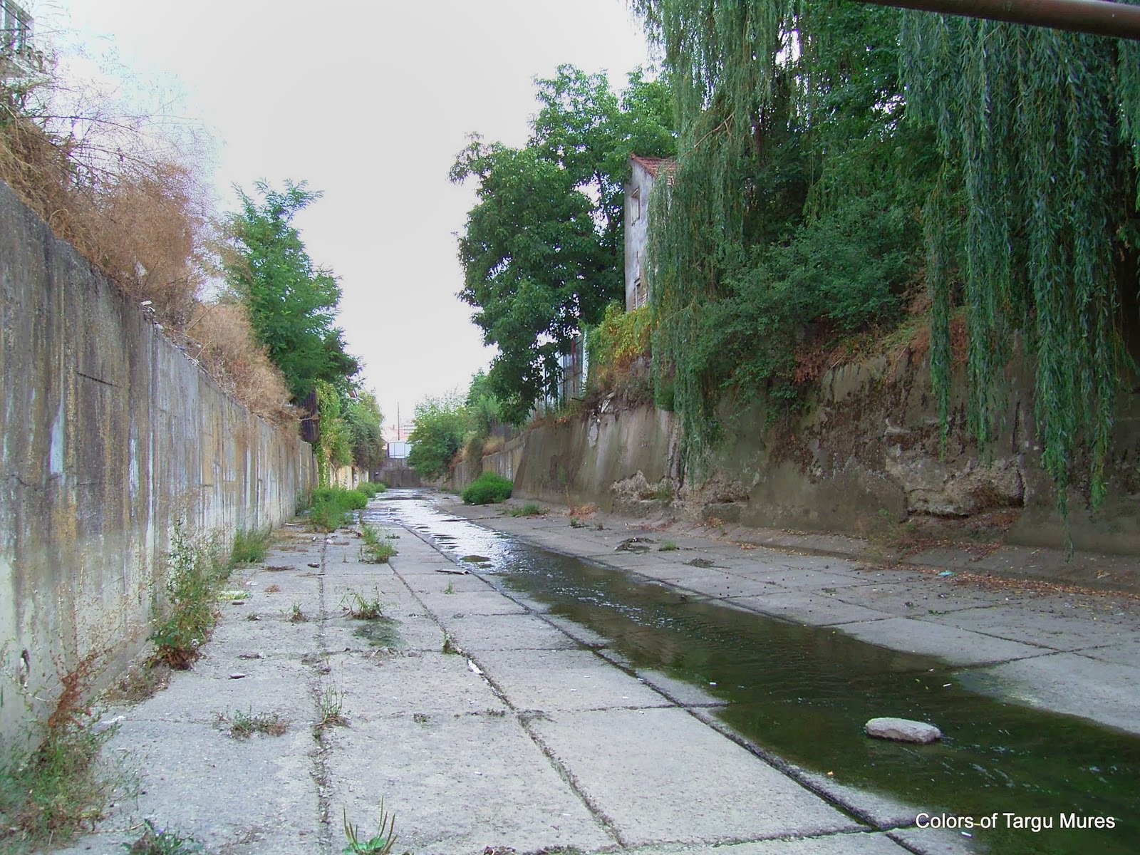Paraul Poclos la varsarea in Raul Mures ~ Colors of Targu Mures