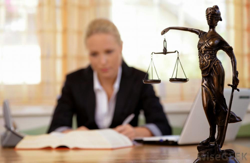 Luiza's Blog: HABILIDADES PROFISSIONAIS - ADVOGADO-ESCRITOR DOS EUA DÁ ...