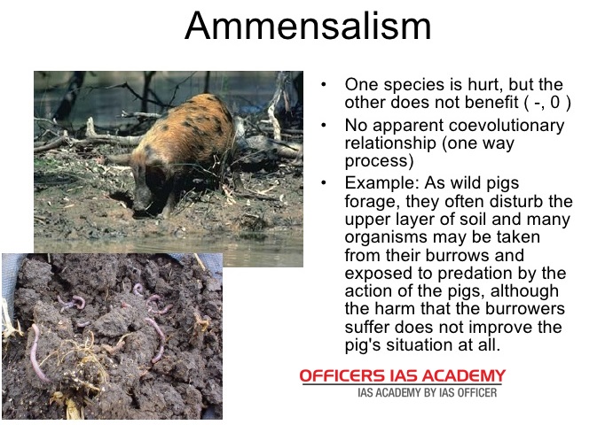 IAS Preparation- simplified like never before!: PRINCIPLES OF ECOLOGY ...