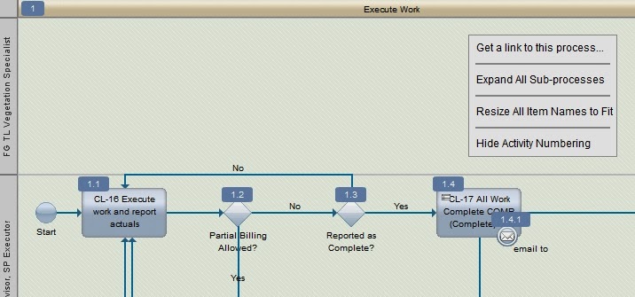 Blueworks Live Secrets: Activity Numbering and Item Names