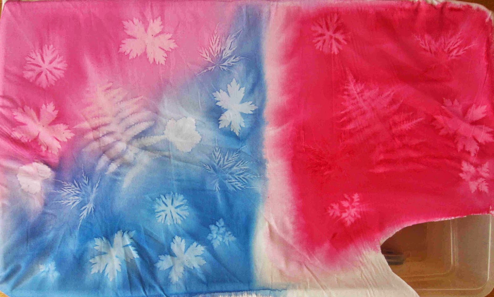 Teri Berry Creations: Sun Dyeing
