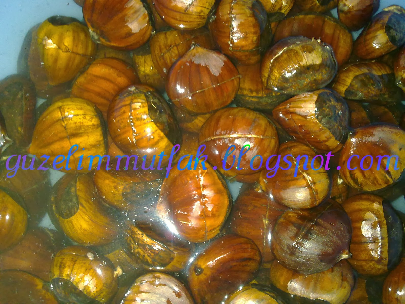 CASTANE FIERTE SAU COAPTE-REȚETE CULINARE FOTOGRAFIATE