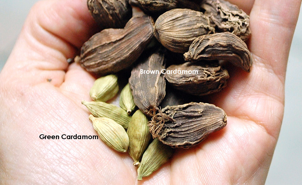 Bhutan Land Of The Thunder Dragon: The Curious Case of Bhutan’s ...