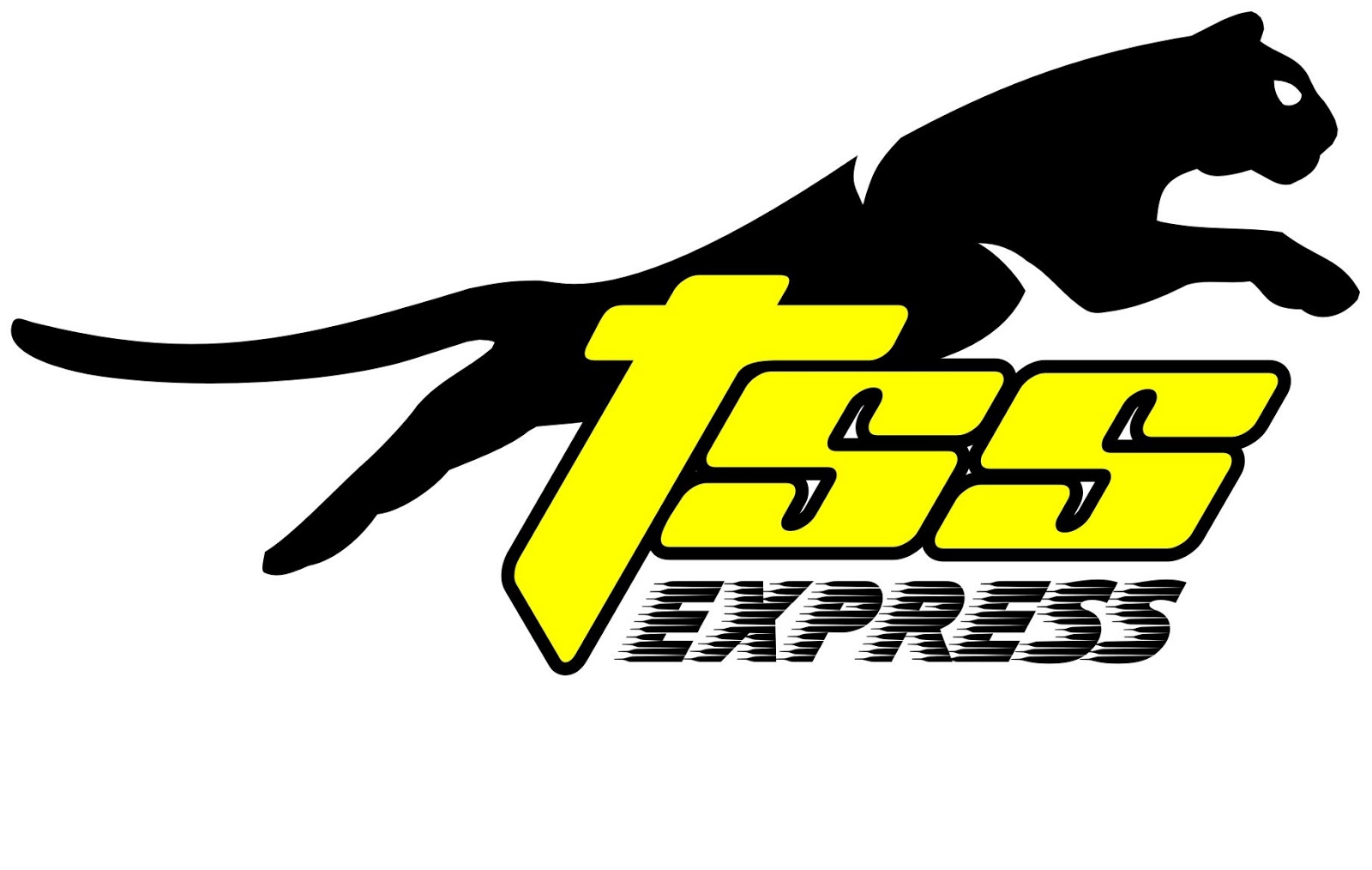 Bem Vindo a TSS EXPRESS