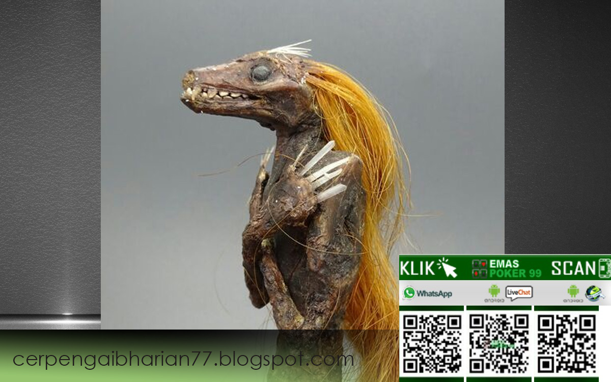 Asal Usul Dari Mana Datangnya Jenglot - Kisah Alam Gaib