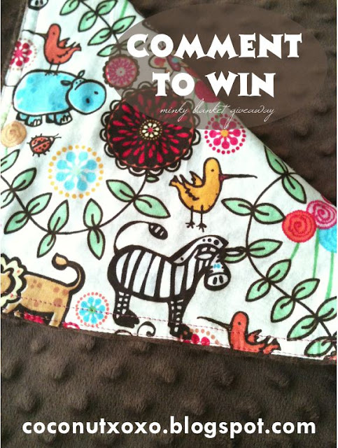 Coconut Love: How To Make a Minky Baby Blanket (First Time Sewing With ...