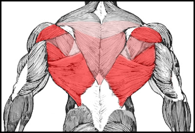 Ready in 5 (weeks): Wasting Time In The Gym