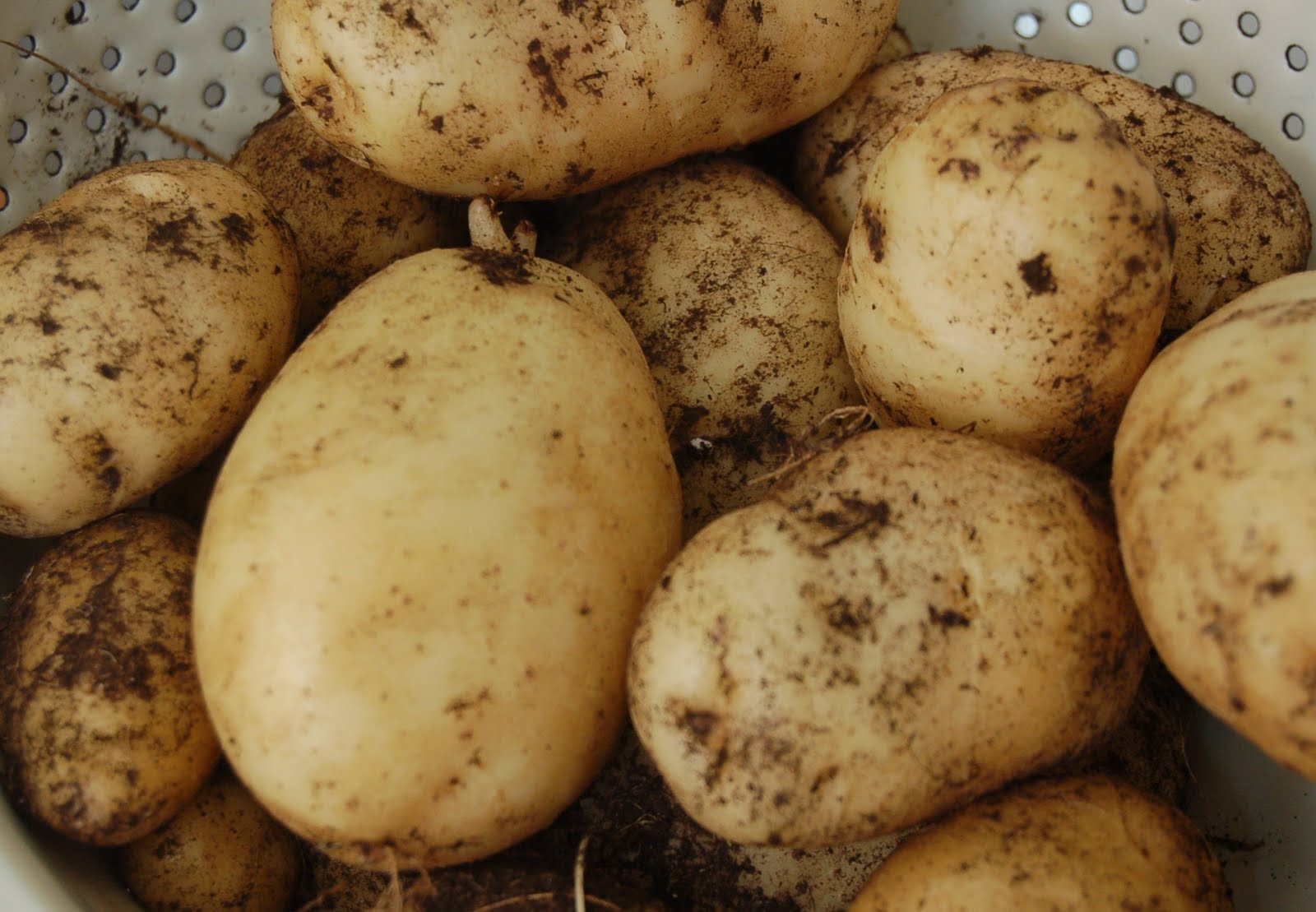 BeB sweet: Patatas caseras, ¡¡¡¡al fin!!!!!