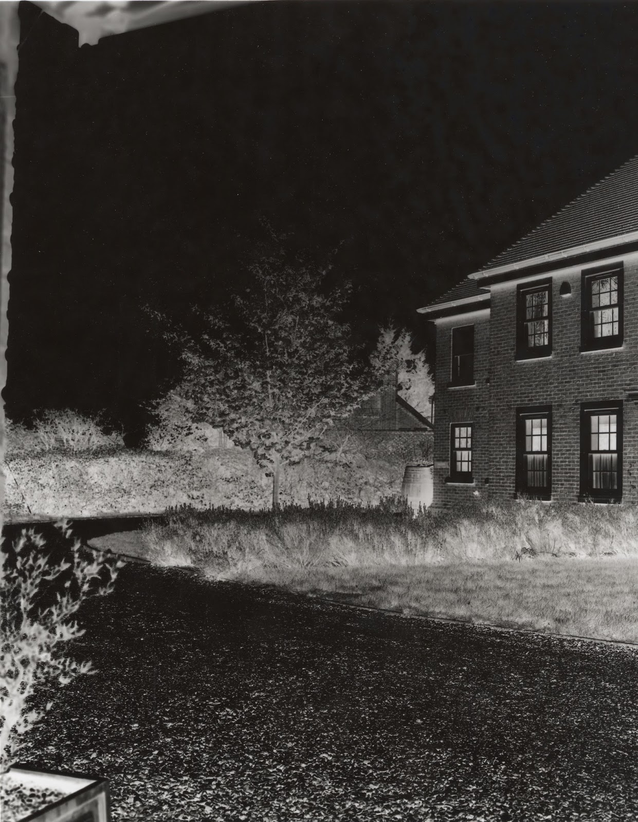 The Big Eye: A DIY Large Format Camera