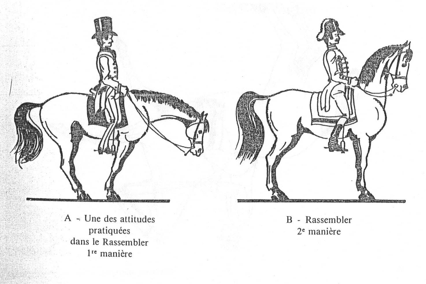 Nél & co: Équitation : la gymnastique du cheval