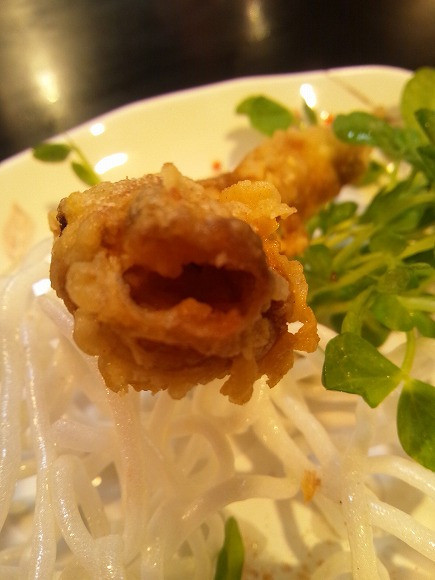 OMG : Axolotis, Ikan Yang Boleh Berjalan Sebelum VS Selepas Dimasak (8 ...