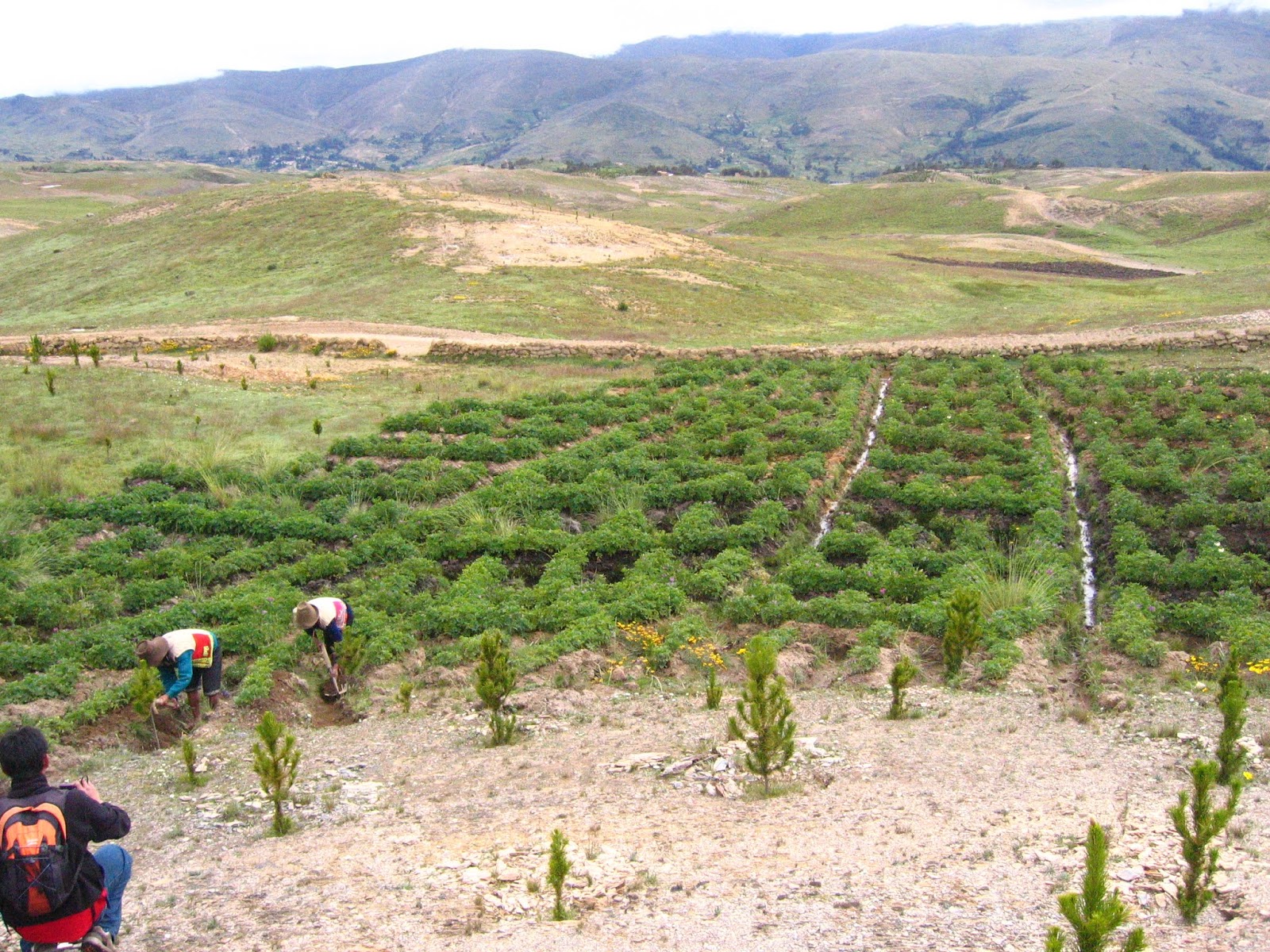 guia Cusco Peru: Visitando el Mirador de la Comunidad de Cuyuni ...
