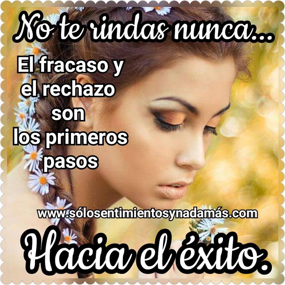 No te rindas nunca... - Solo sentimientos y nada mas