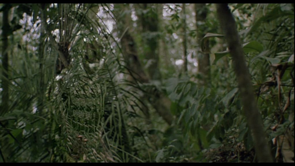 Le Cabinet de Curiosité(s): Predator ( film 1987)