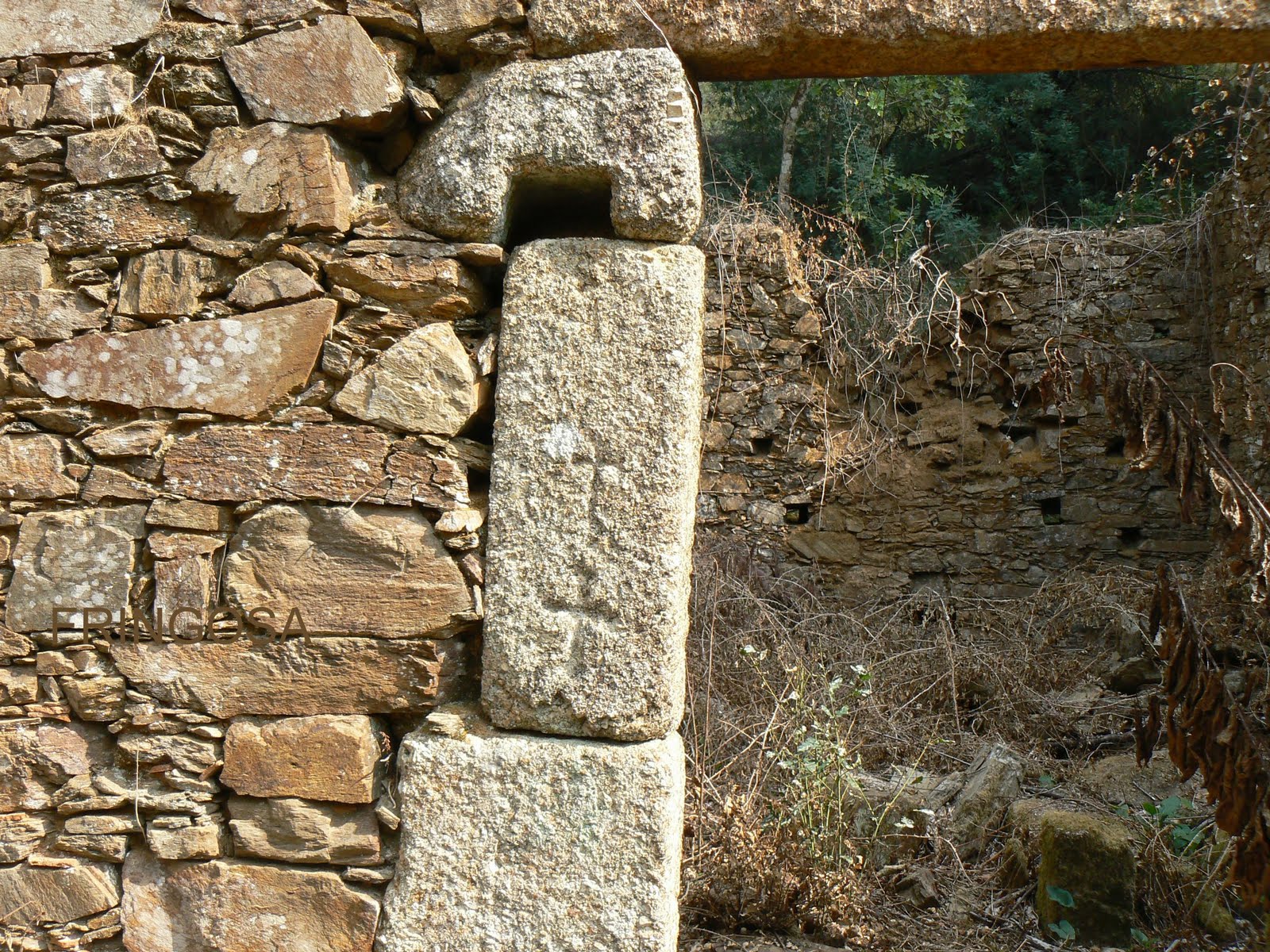 ARQUIVO FRINGOSA: COUTO DO MOSTEIRO: Lagar de varas das Rochoiras