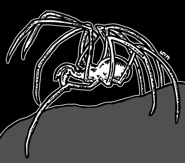 Save Vs. Dragon: New Oe/BX/1E Monster: Giant Trogloraptor Spider