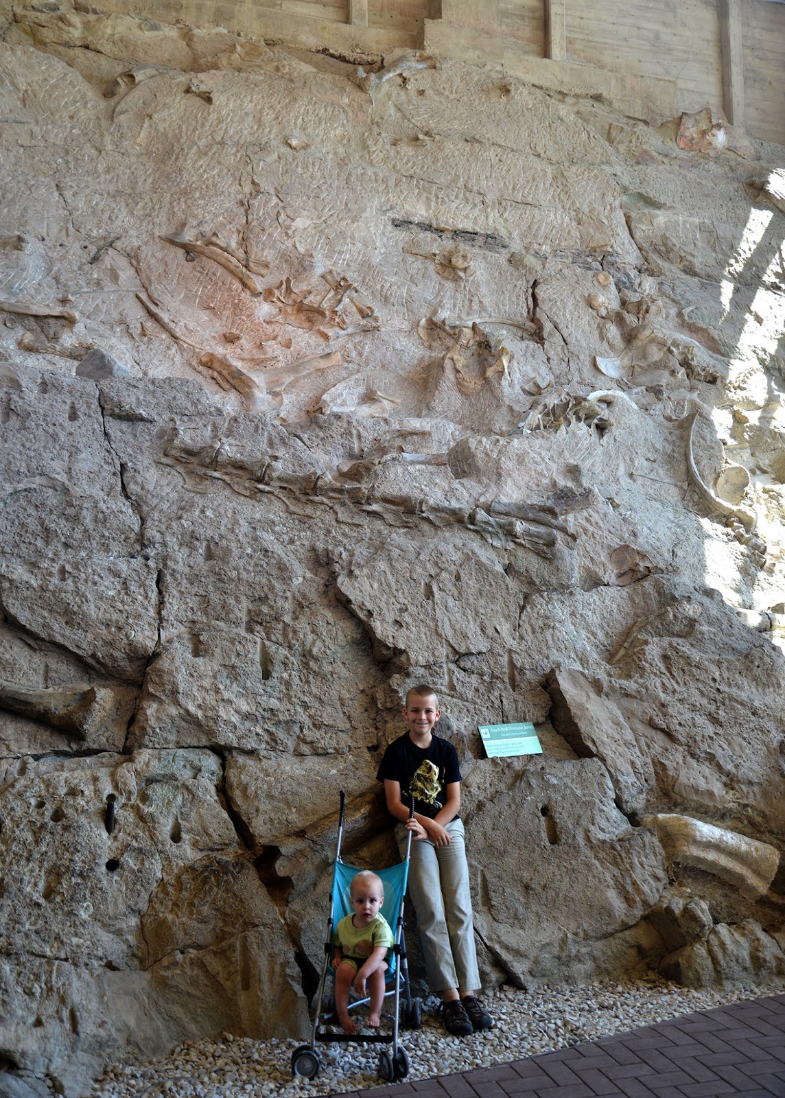 A school of fish: Dinosaur National Monument Field Trip