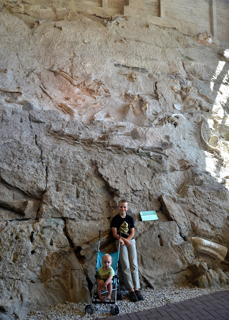 A school of fish: Dinosaur National Monument Field Trip