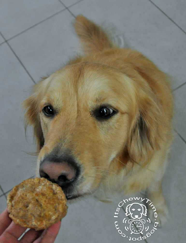 It's Chewy Time!: Meat Pie for Dogs- Treat Recipe using Caru Stew
