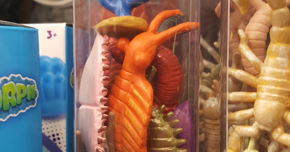 Extinct Animal of the Week: The Popular Shrimp